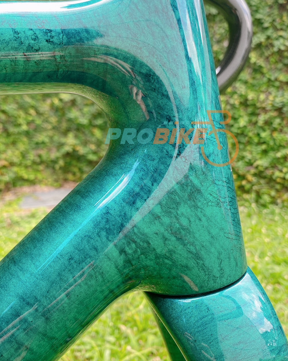 X-LAB RT9 Red E1 Bike – Pro Bike